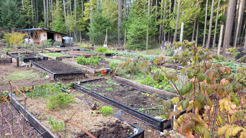 Community Garden – Mayne Island Community Centre